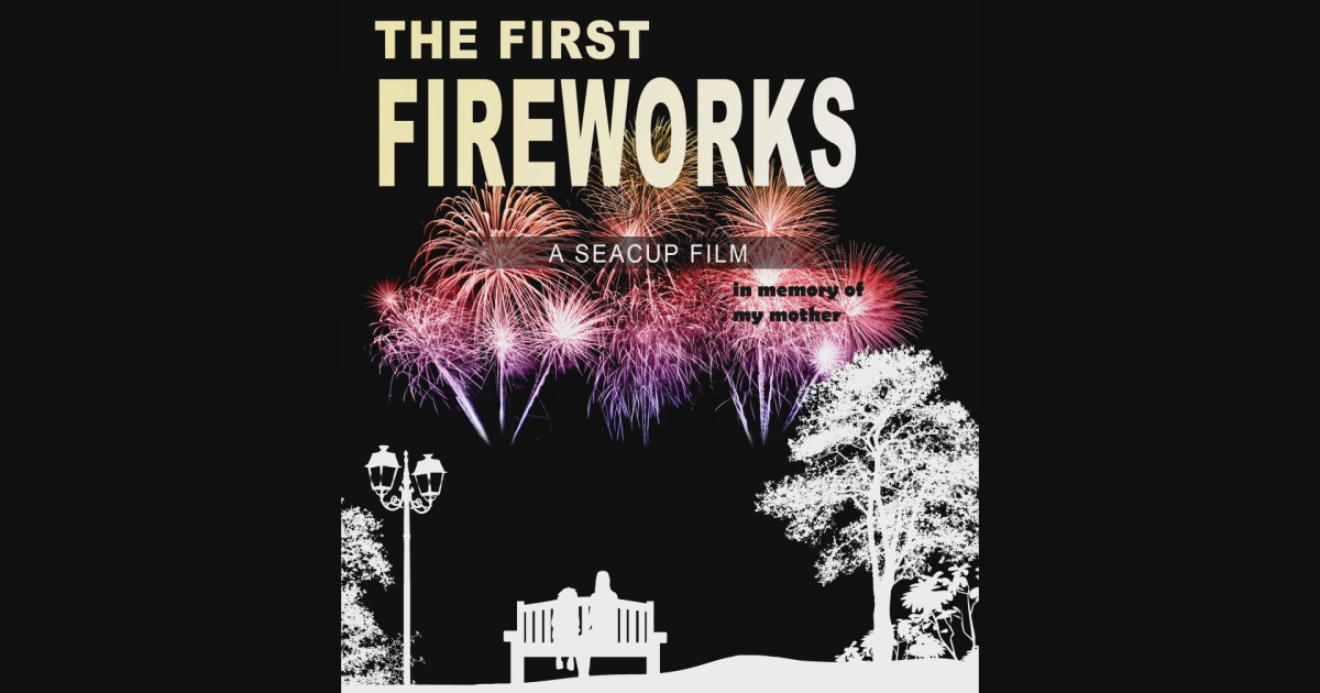 First Fireworks | Indiegogo