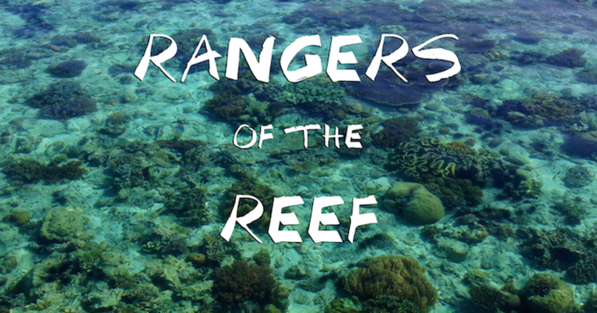 Rangers of the Reef | Indiegogo
