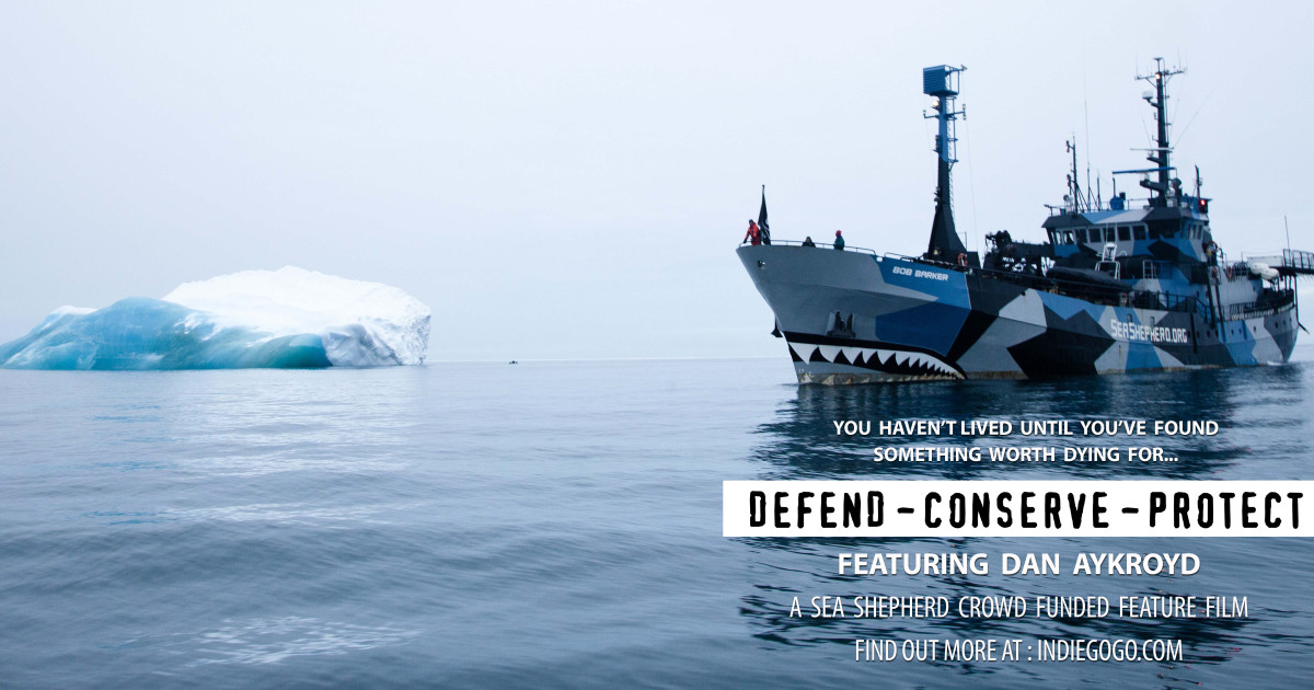 DEFEND - CONSERVE - PROTECT: A SEA SHEPHERD MOVIE | Indiegogo