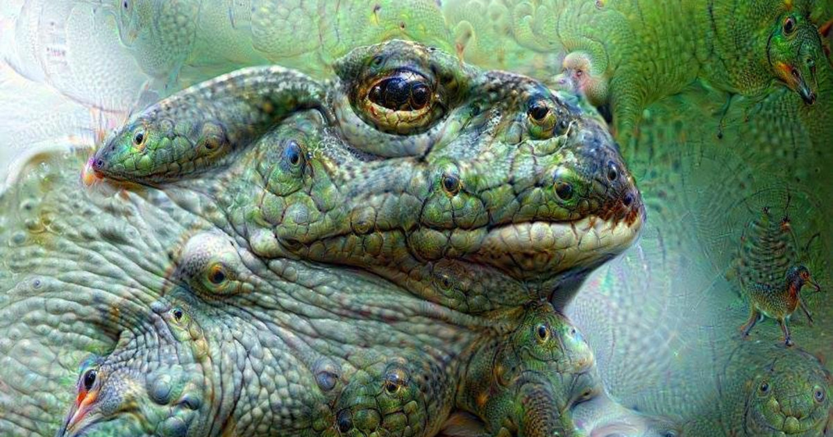 The God Molecule and the Shamanic Toad | Indiegogo