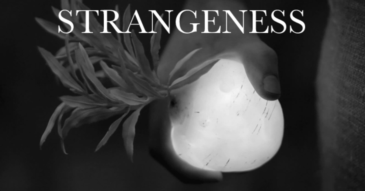 The Strangeness - A Short Film | Indiegogo