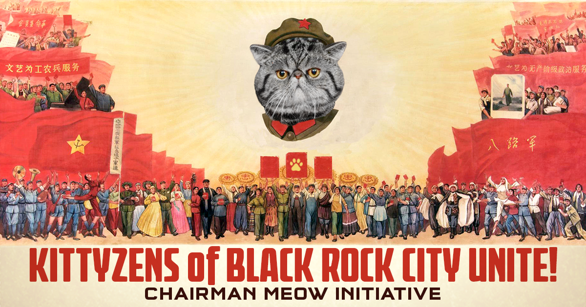 Chairman Meow Initiative | Indiegogo