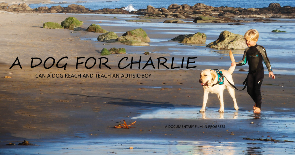 A Dog for Charlie | Indiegogo