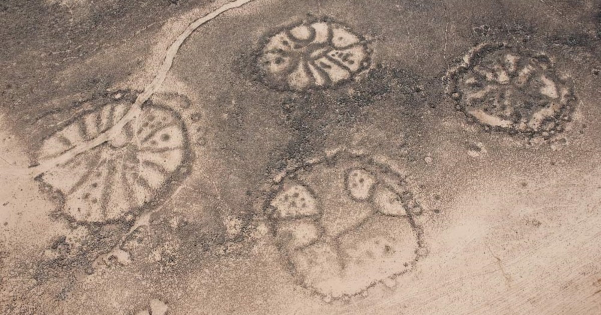 Exploring Newly Discovered Giant Geoglyphs | Indiegogo