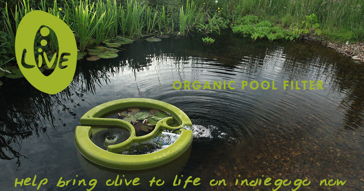 OLIVE - Natural Swimming Pool Filter | Indiegogo