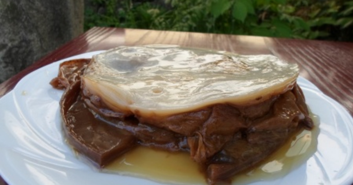 Food Hacking Base At 33c3 Indiegogo