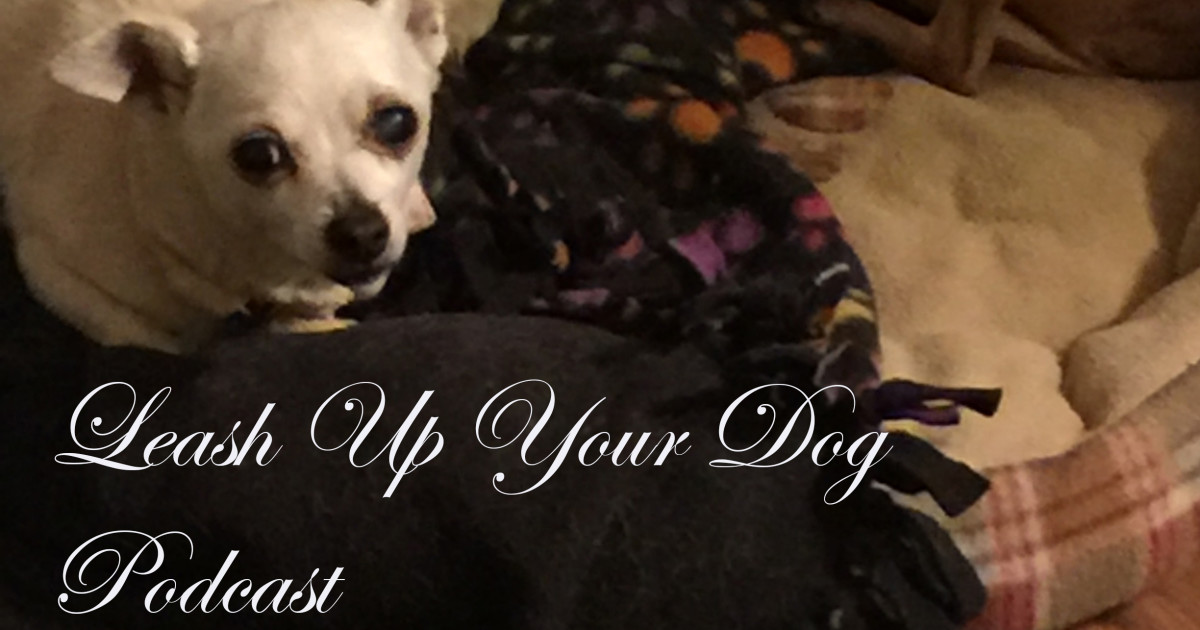 Create a Leash Up Your Dog Podcast | Indiegogo