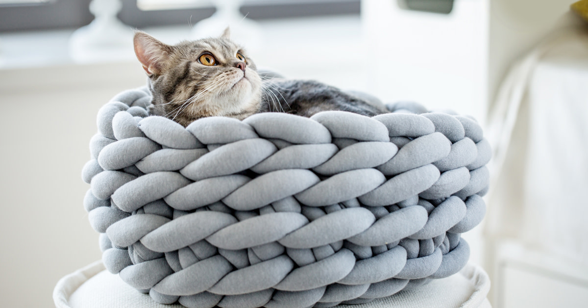 Ohhio Braid - Unique Chunky Creations | Indiegogo