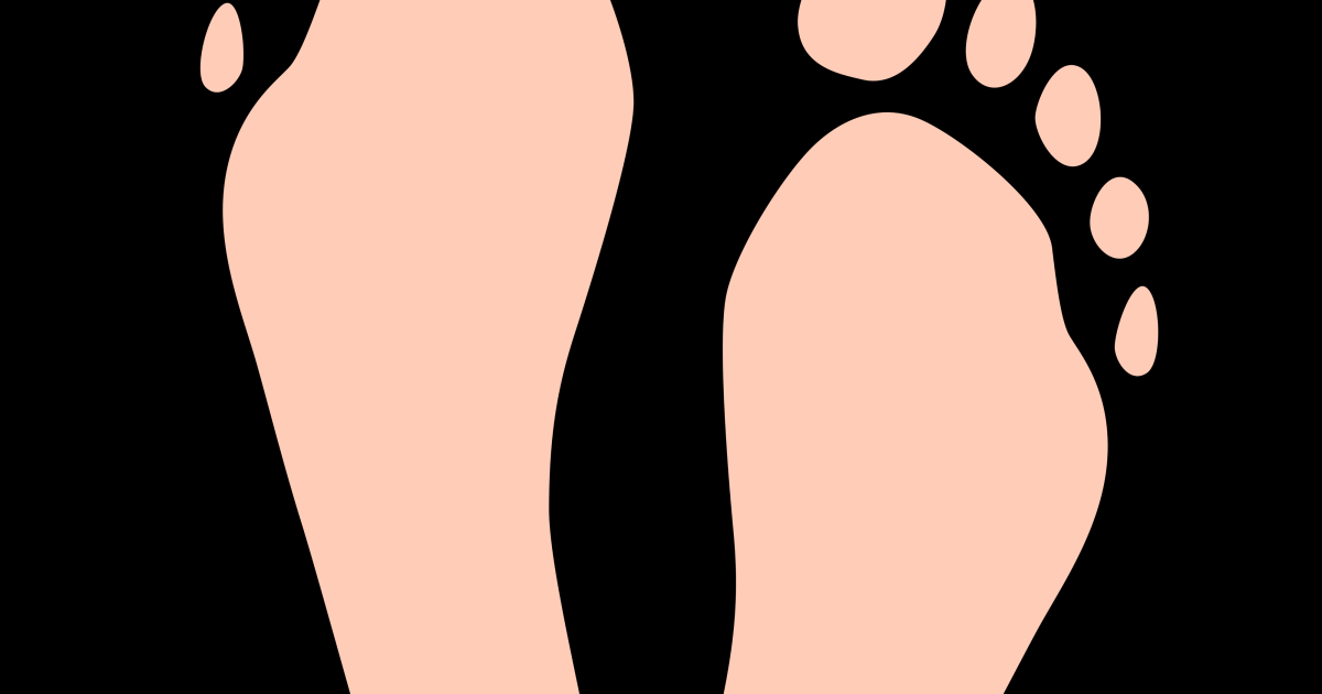 Nine Toes the Bard: New 10 song CD and more! | Indiegogo