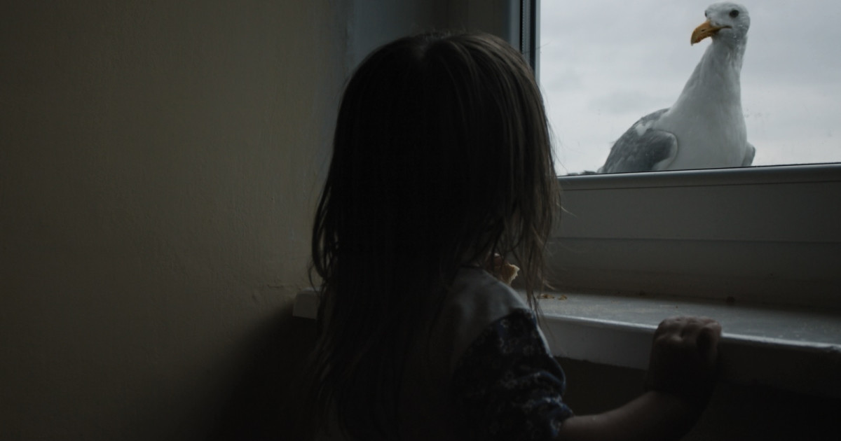 Nima: a Documentary Film | Indiegogo