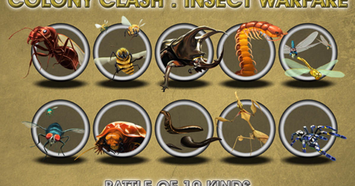 Colony Clash : Insect Warfare Expansion | Indiegogo
