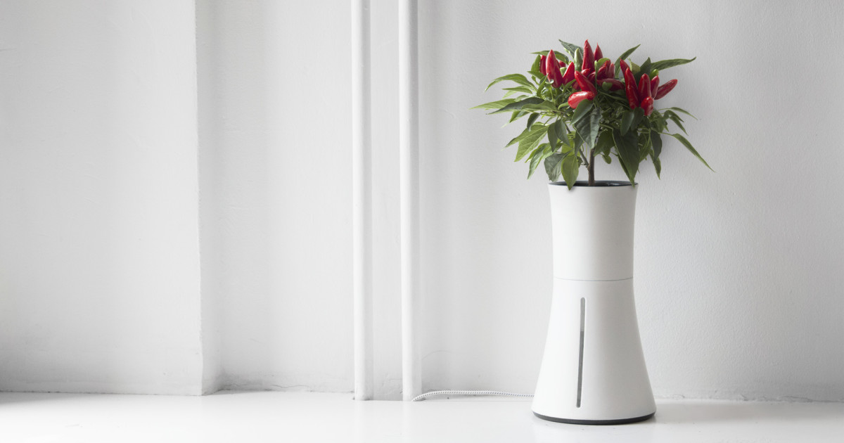 Botanium - Grow Edible Greens. Fast & Effortlessly | Indiegogo