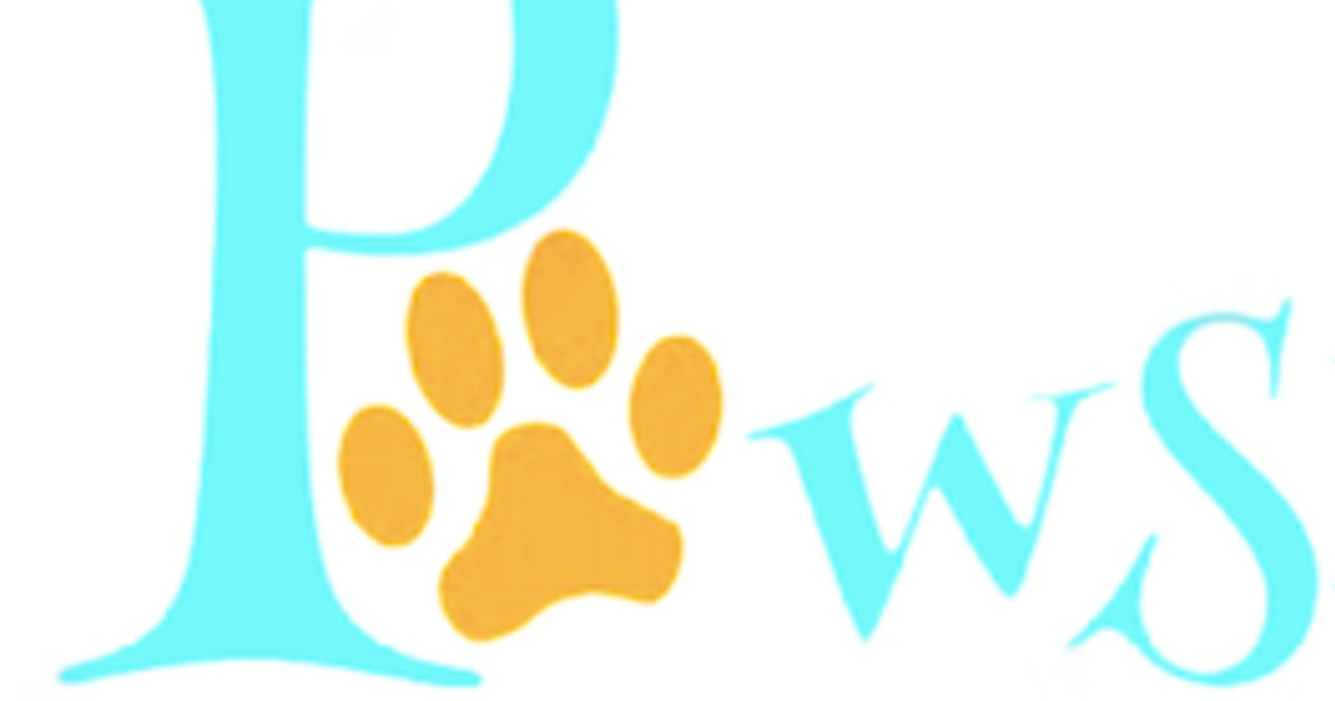 Pawsitivity | Indiegogo