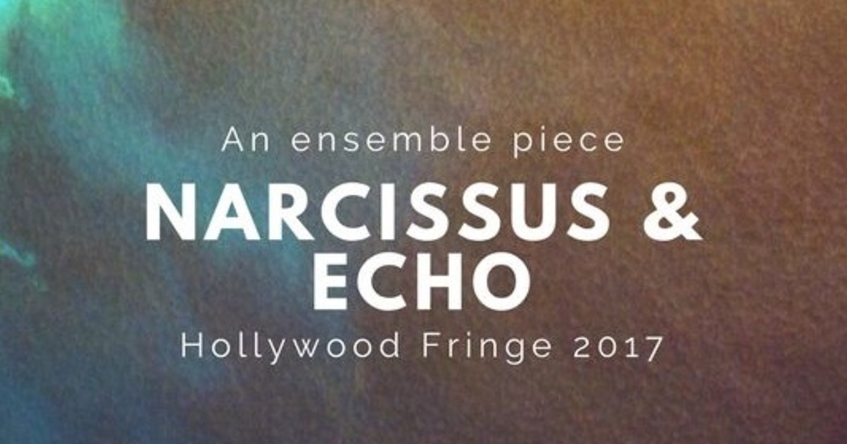 Narcissus Echo Indiegogo
