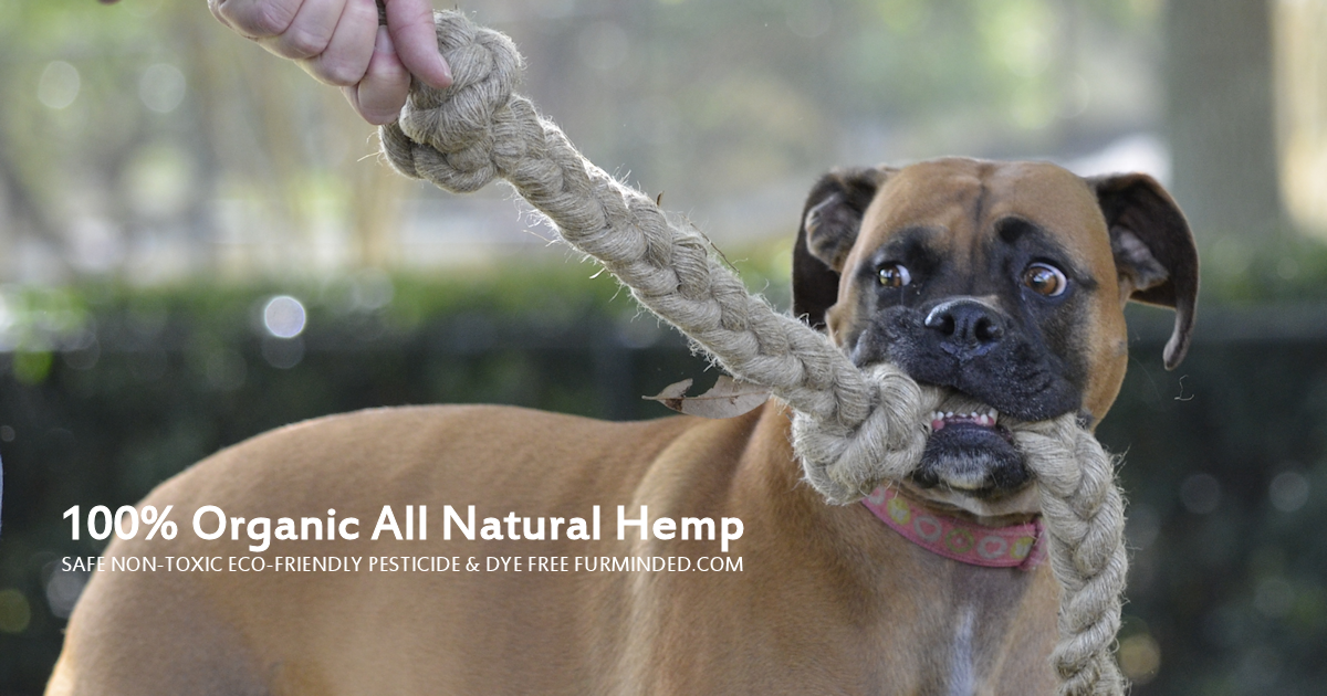 Natural Organic Hemp Rope Dog Toys | Indiegogo