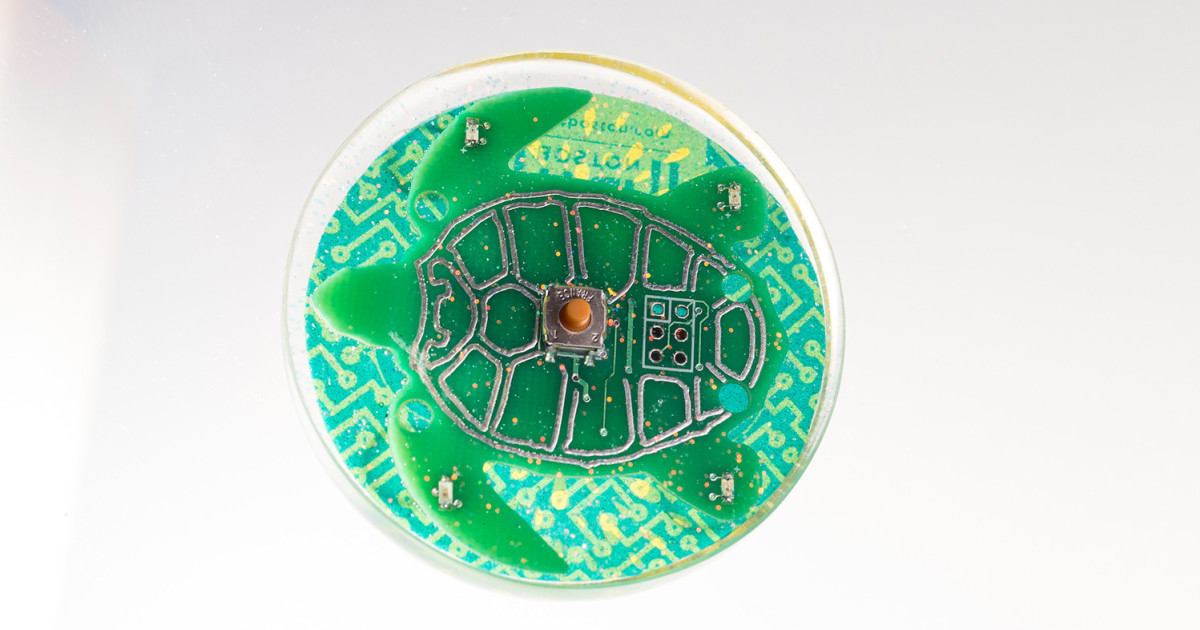 Two Minute Turtle Timer | Indiegogo