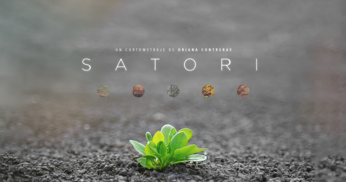 Satori Short Film | Indiegogo
