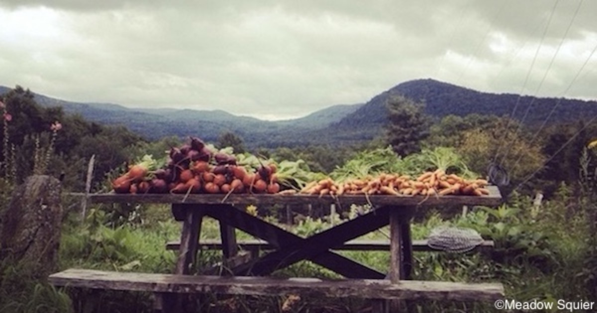 SILVER FARM | Indiegogo