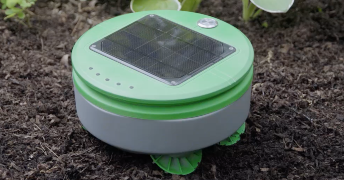 Tertill: The solar powered weeding robot | Indiegogo