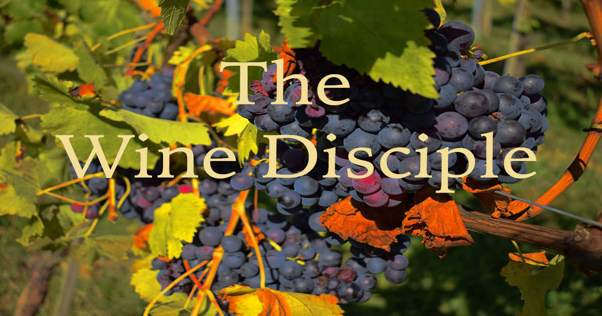 The Wine Disciple | Indiegogo