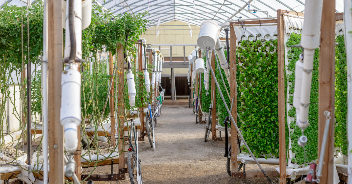 Creating Change with Innovative Urban Agriculture | Indiegogo