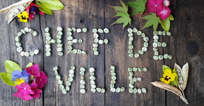 Chef de Ville - Retreat & Co-working | Indiegogo