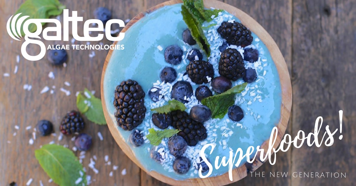 Galtec: the new generation of superfoods! | Indiegogo