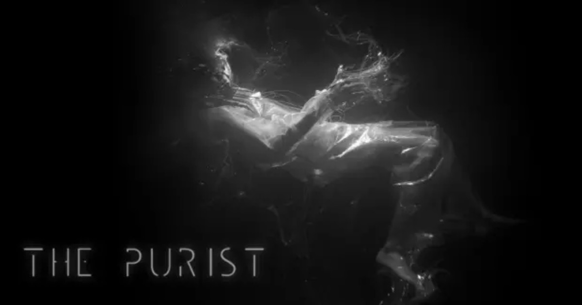 THE PURIST | Indiegogo