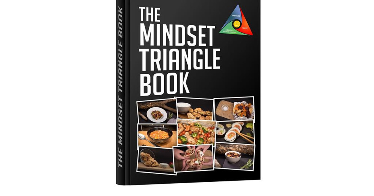 The Mindset Triangle Book | Indiegogo