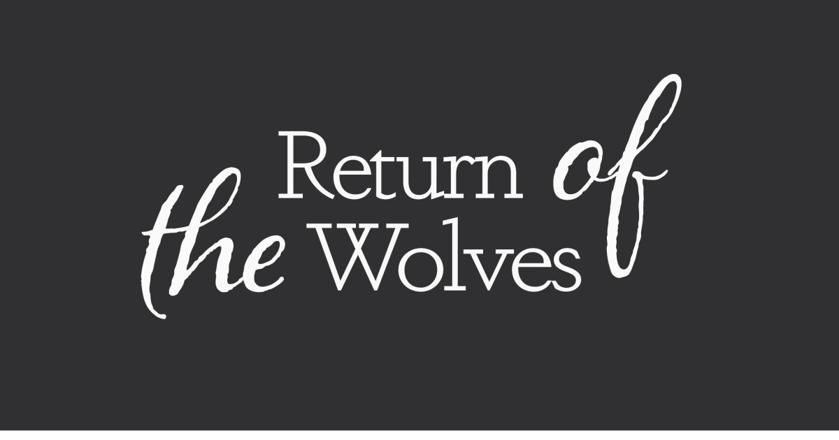 Return of the Wolves Documentary | Indiegogo
