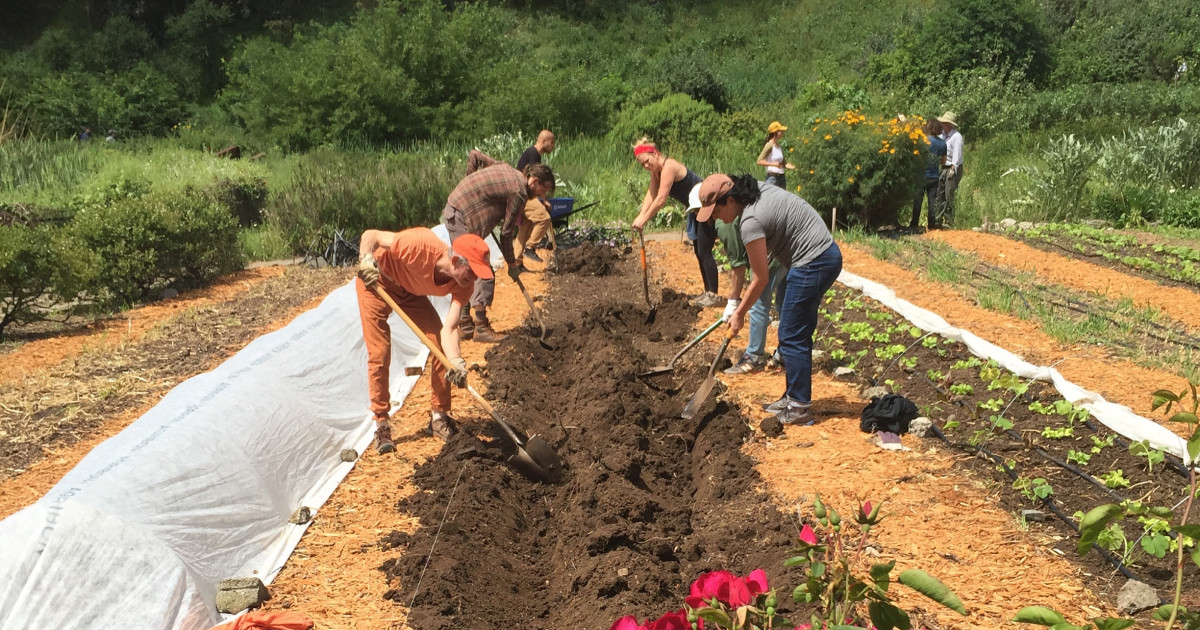 Alemany Farm: San Francisco's Largest Urban Farm | Indiegogo