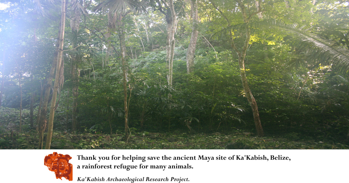 Save the ancient city of Ka'kabish | Indiegogo