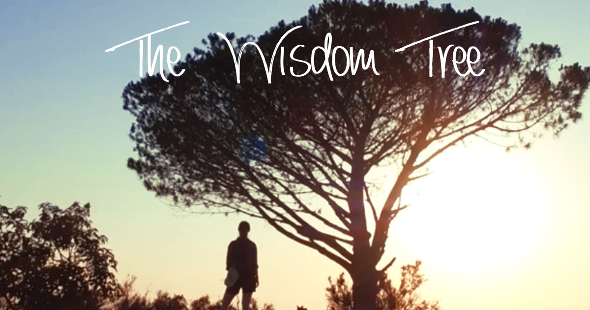 The Wisdom Tree | Indiegogo