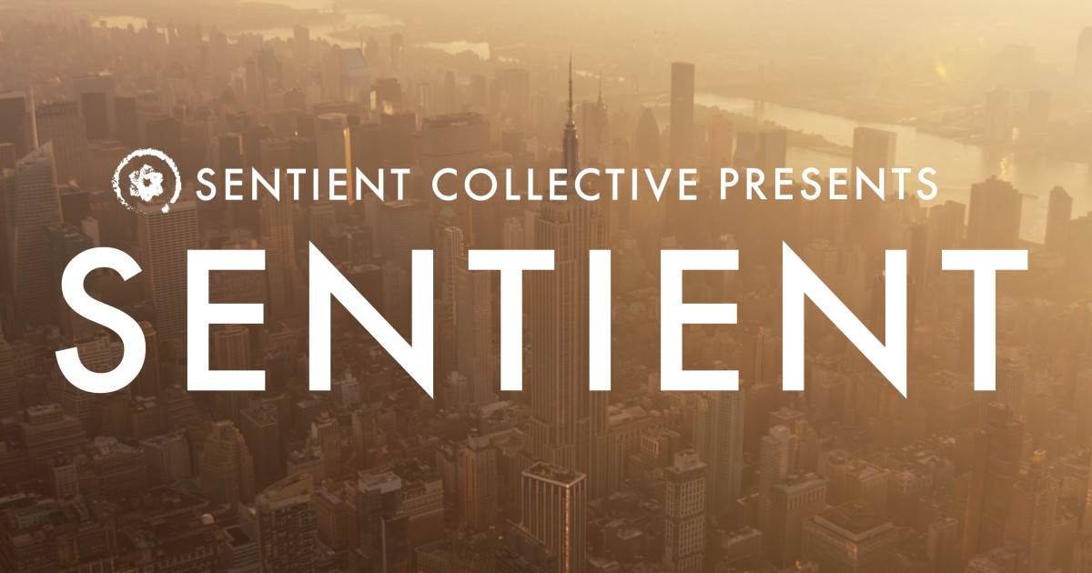 SENTIENT, The Film. | Indiegogo