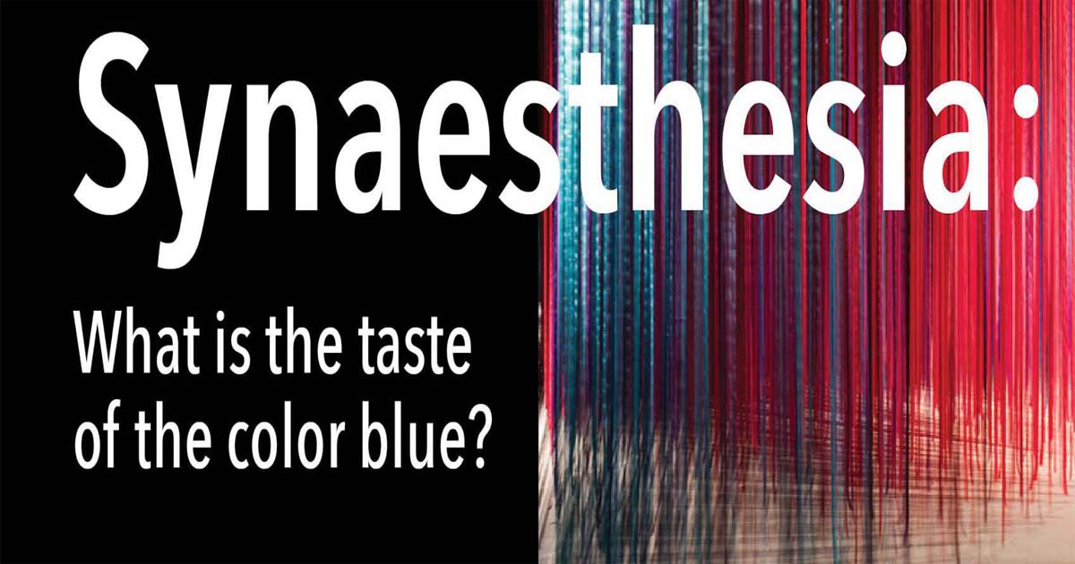 Synaesthesia: What is the Taste of Color Blue? | Indiegogo