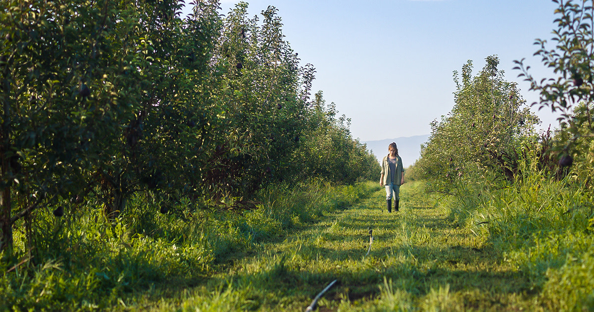 July Rising | Indiegogo