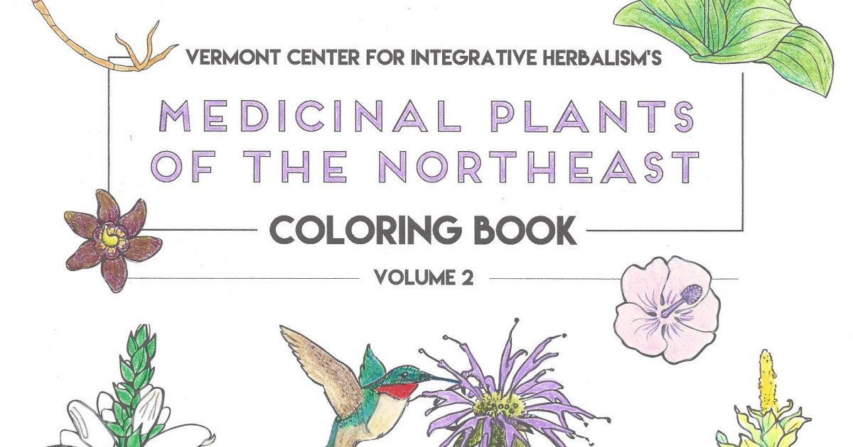 Medicinal Plants of the Northeast Coloring Book 2 | Indiegogo