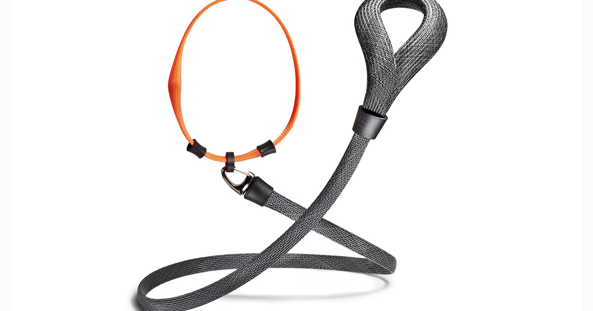 The dog leash and collar reinvented. VUFF | Indiegogo