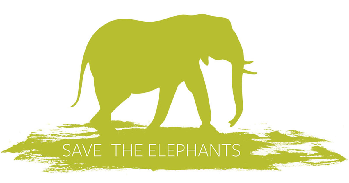 SAVE THE ELEPHANTS - CORTOMETRAGGIO | Indiegogo