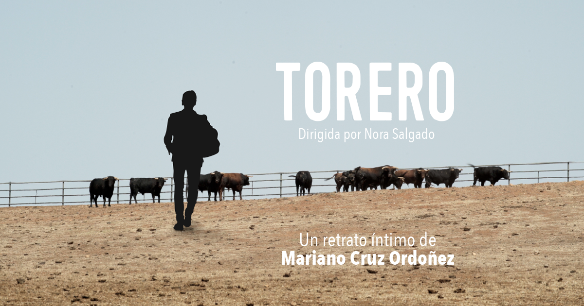 Torero | Indiegogo