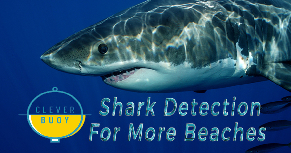 Clever Buoy: Shark Detection For More Beaches | Indiegogo