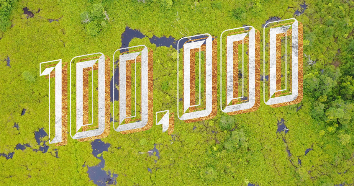 Help plant 100,000 Trees in 2018! | Indiegogo