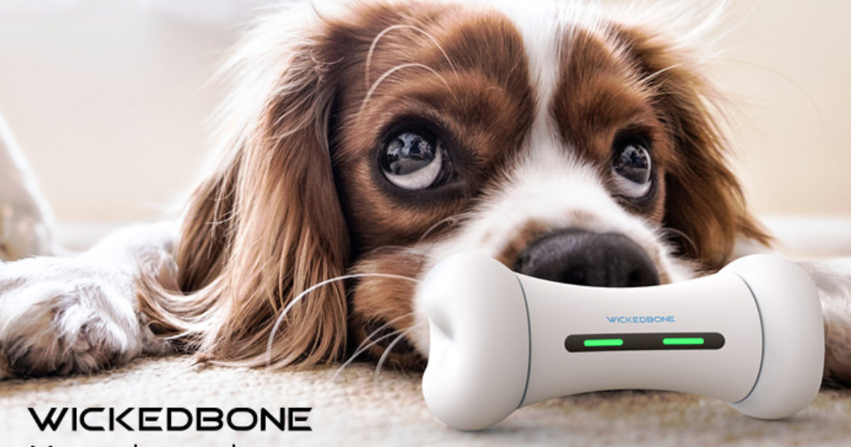 WICKEDBONE: Smart & Interactive Dog Toy | Indiegogo