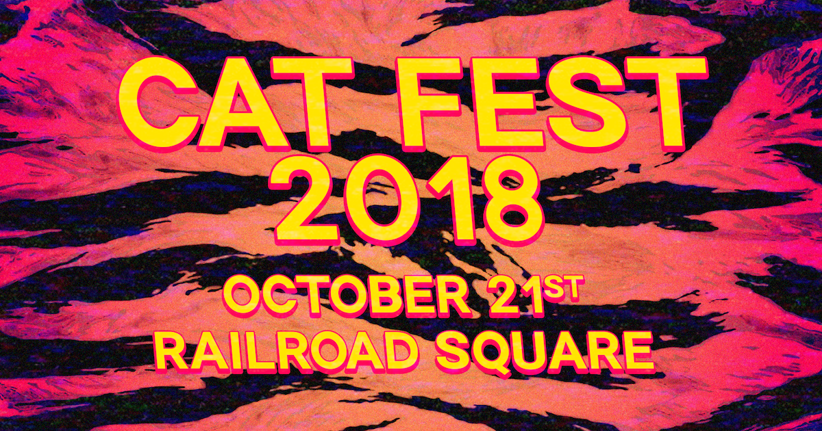 Cat Fest 2018 | Indiegogo
