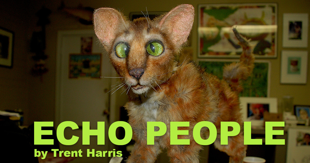 ECHO PEOPLE | Indiegogo