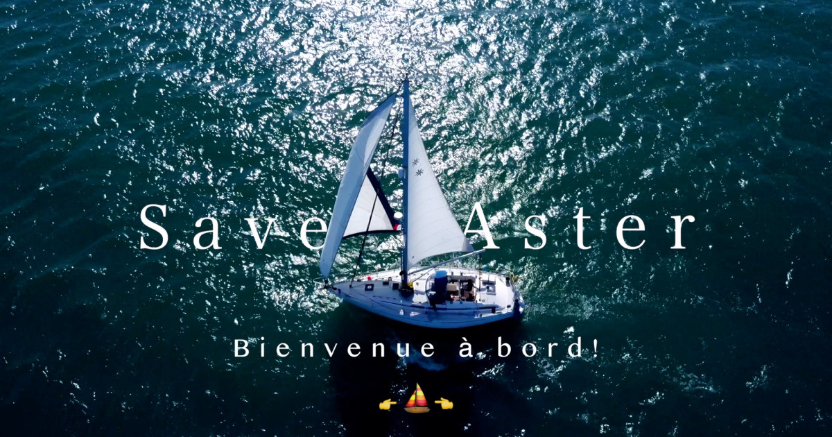 Save Aster | Indiegogo