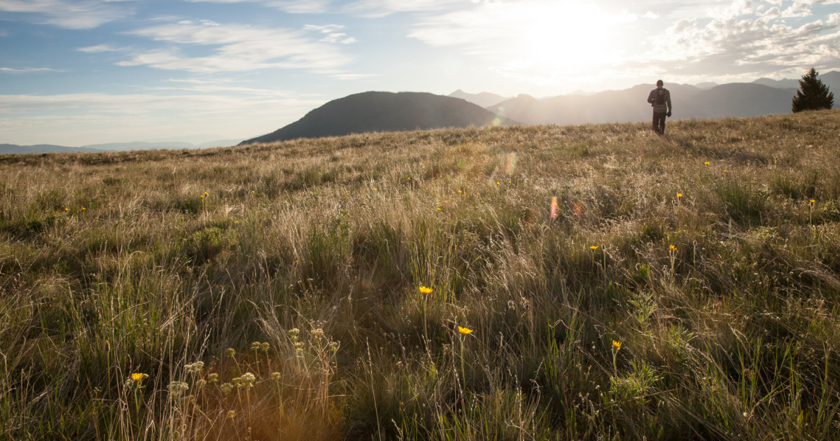 The Common Ground Project | Indiegogo