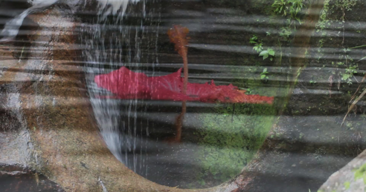 This Earth Body, My body. Myth, genetics & genesis | Indiegogo