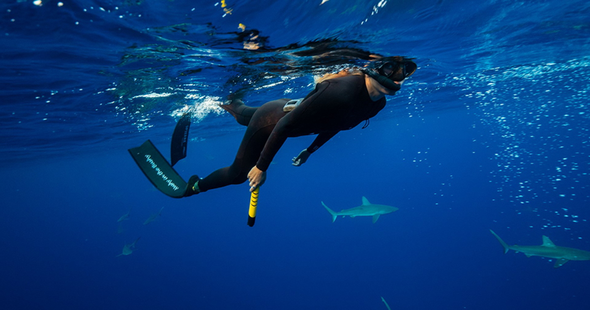 eSPEAR, The Worlds First Handheld Shark Deterrent | Indiegogo