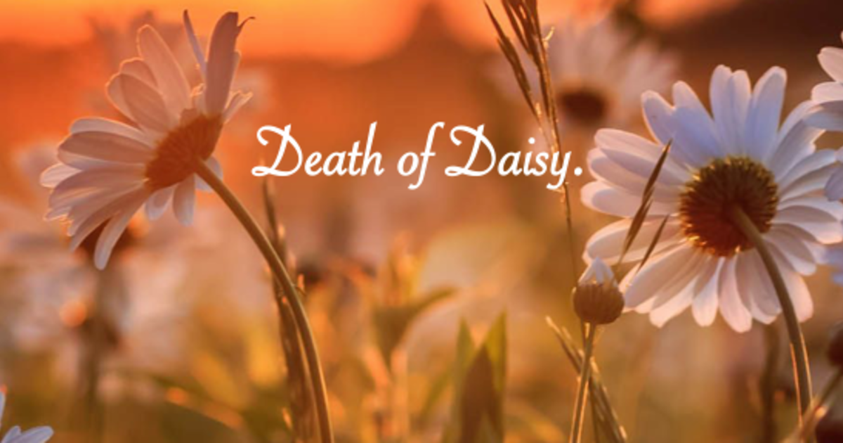 Death of Daisy | Indiegogo